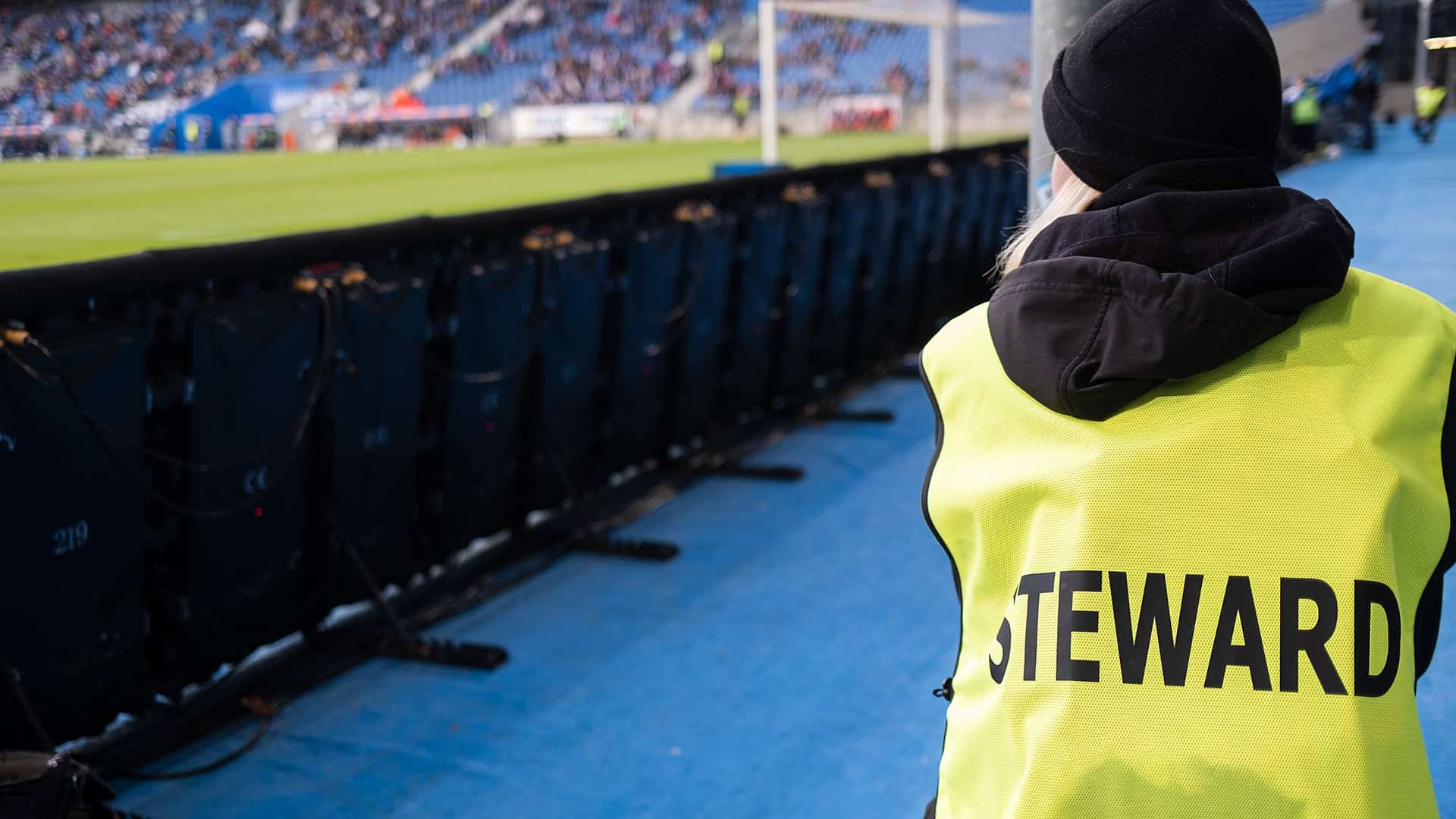 Stewarding factsheet 1 - Overview - SGSA